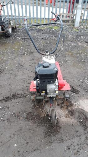 MOUNTFIELD MANOR 55R rotavator (s/n MPR10153) | Day 1 Carlton LIVE SALE ...